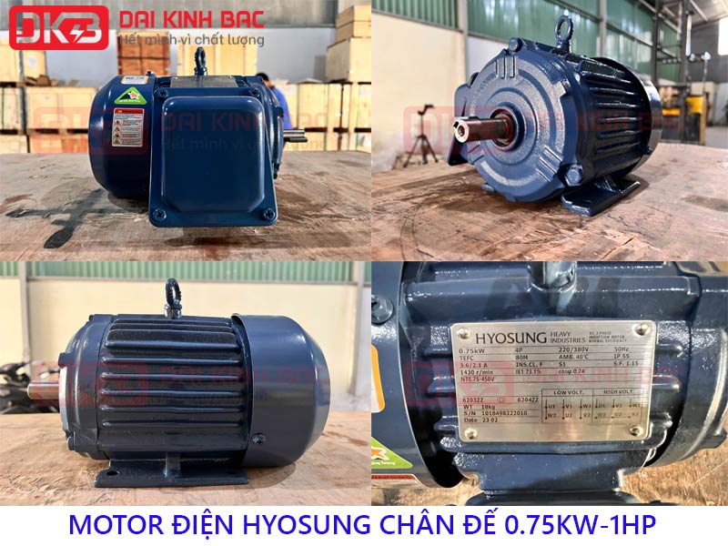 Motor Điện Hyosung 0.75KW - Motor Hàn Quốc